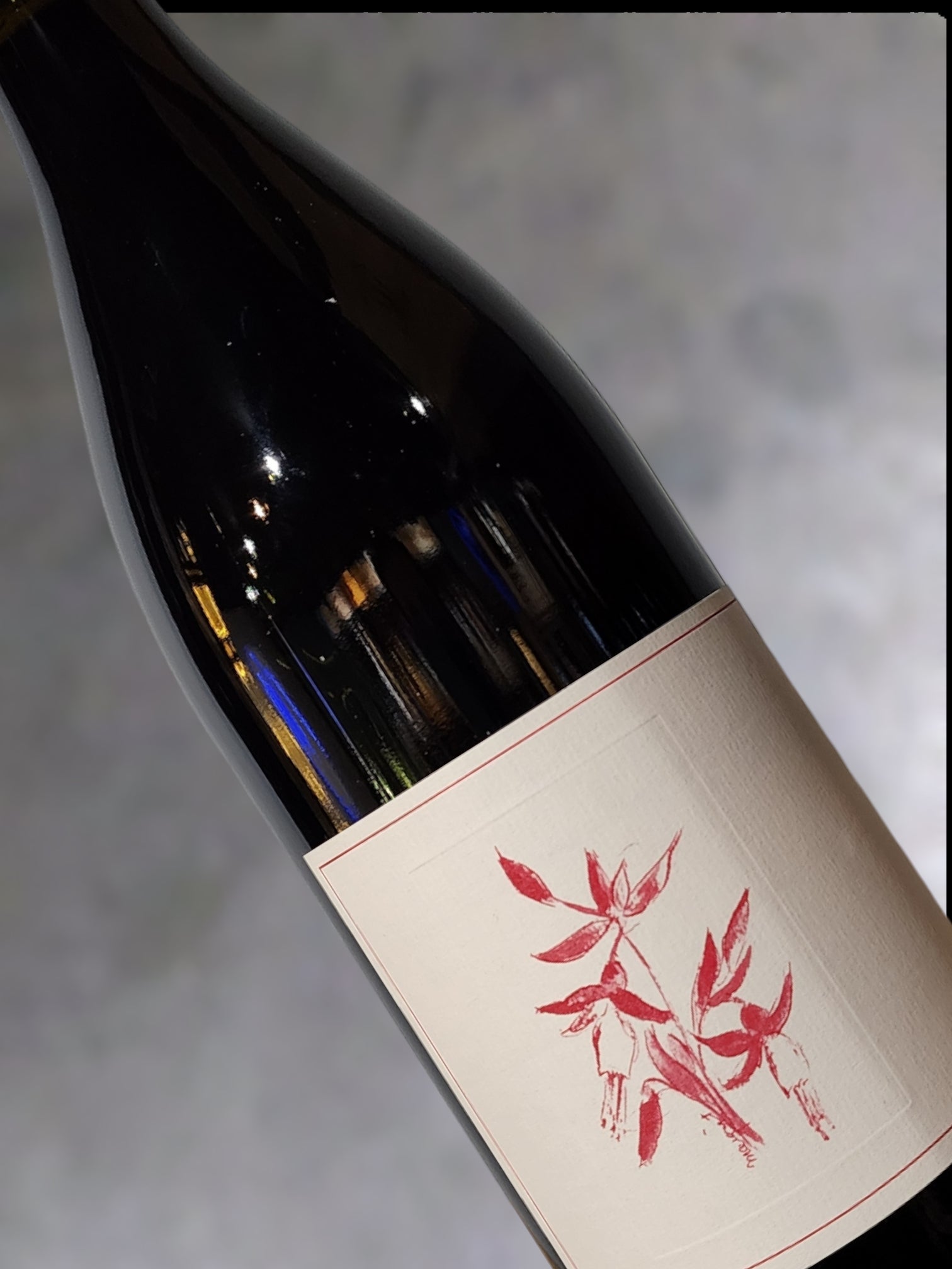 Arnot-Roberts Pinot Noir Peter Martin Ray, Santa Cruz Mountains 2022 ...